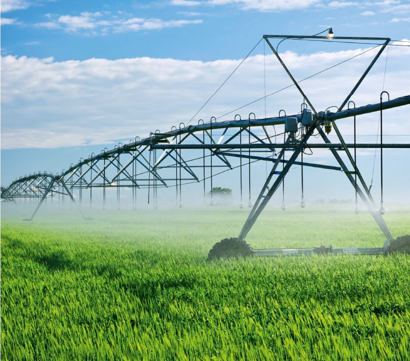Optimal solutions for irrigation from specialists