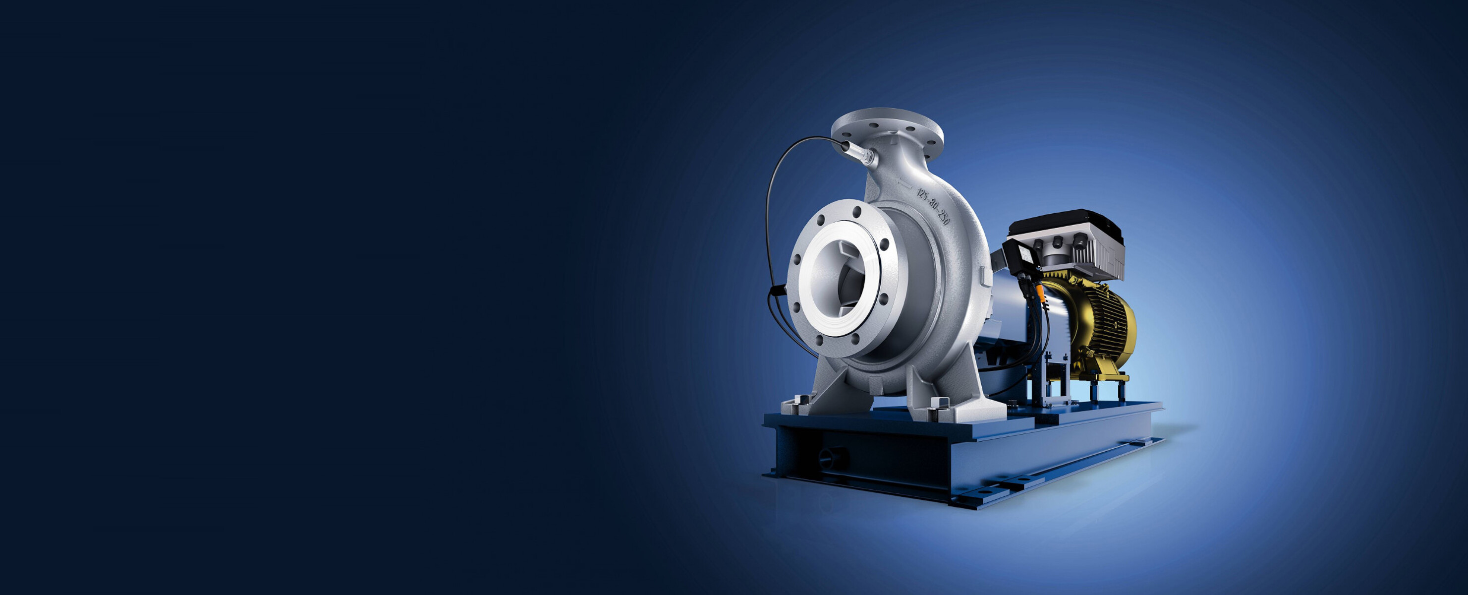 Bombas, Válvulas y Servicio