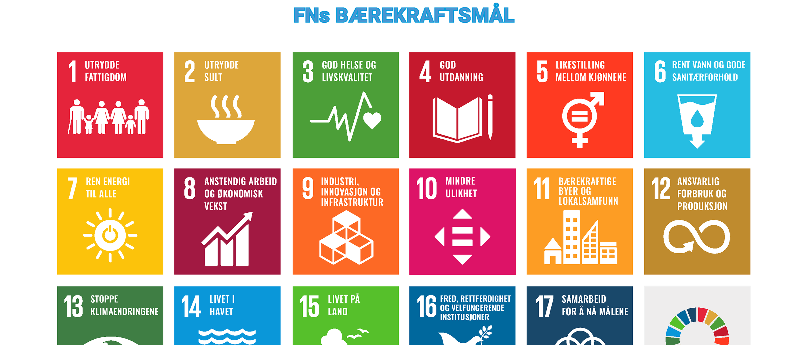 Åpenhetsloven - Redegjørelse