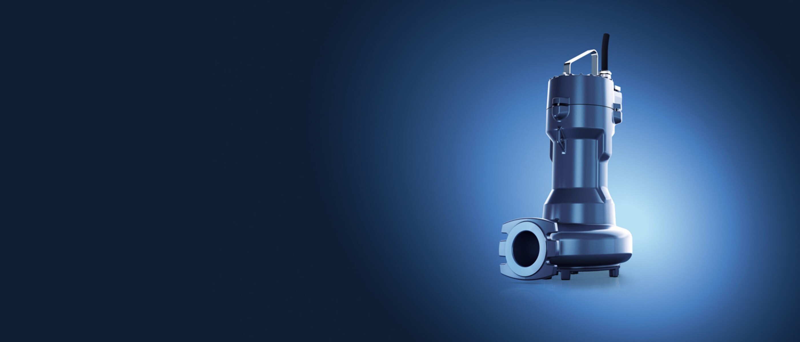 Pumps, Valves and Service